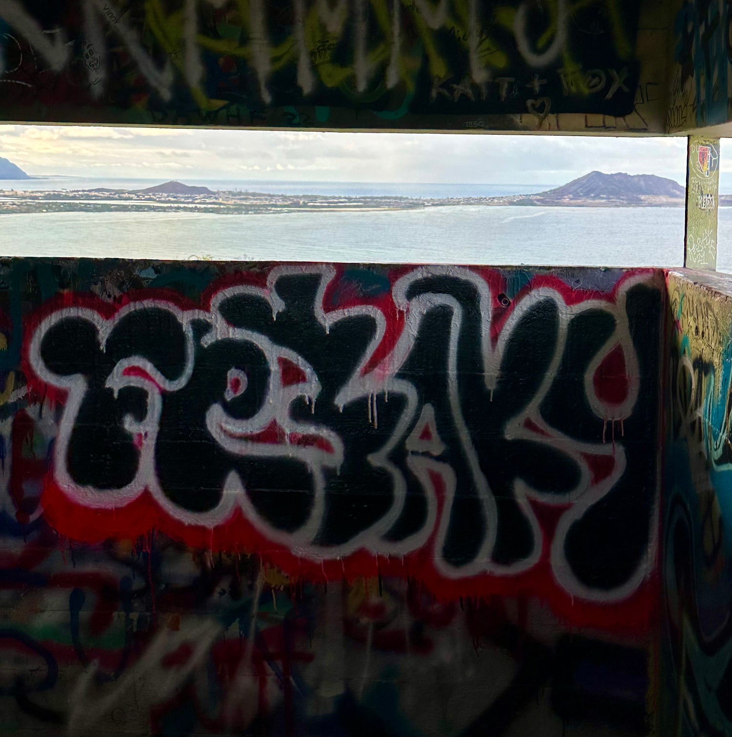 FREAKY BRAND – FREAKY Brand